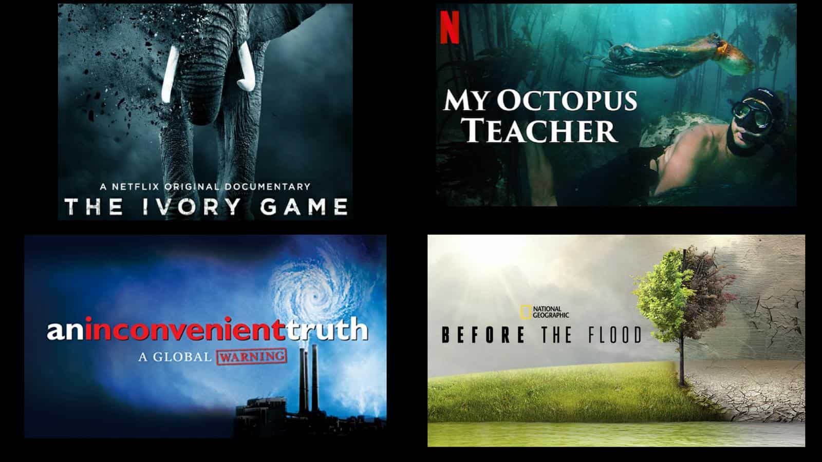 8 Documentaries and films on environmental issues you must add to your ...