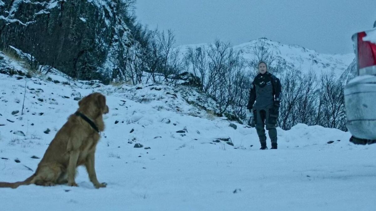Breaking Surface movie review: A thrilling survival drama that rewards ...