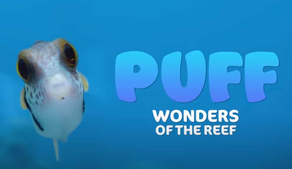 Puff: Wonders of the Reef review: An interesting and educational ...