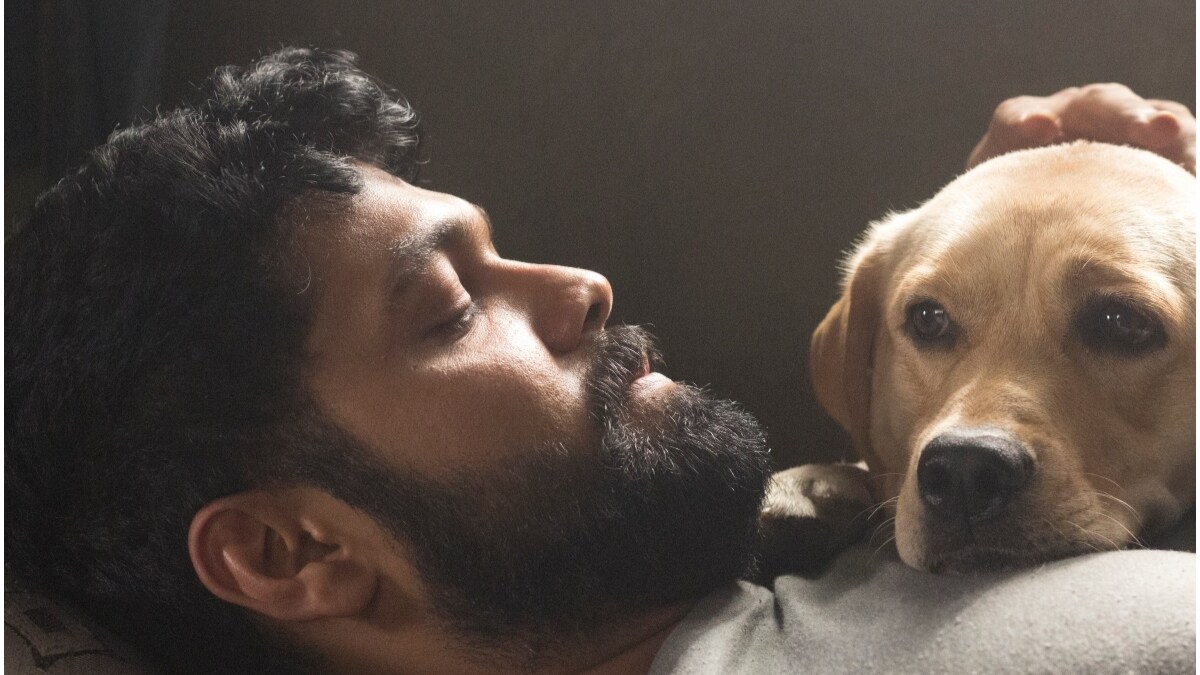 777 Charlie preview: All you need to know about Rakshit Shetty’s June ...