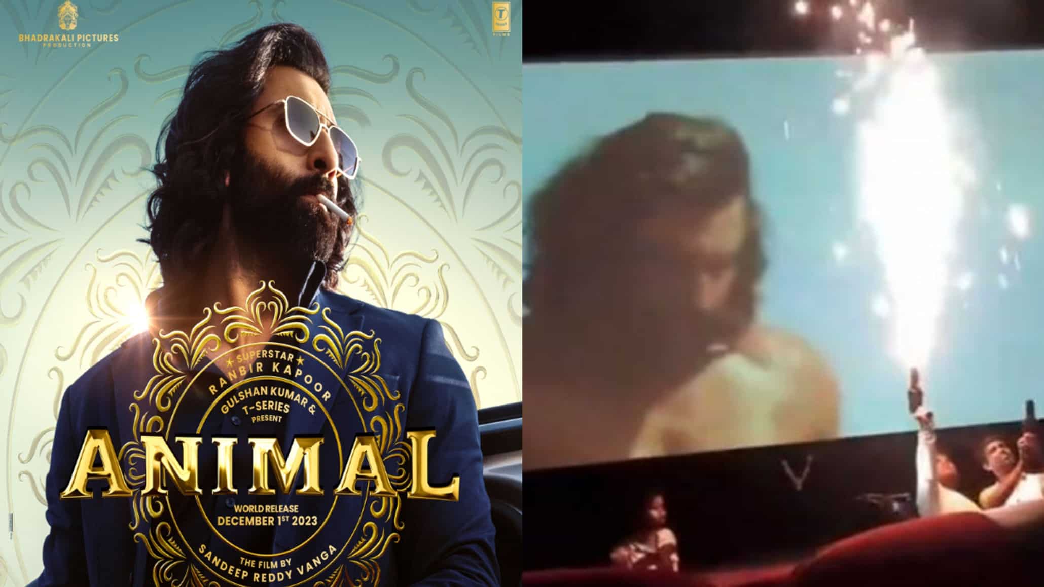 After Tiger 3, fans burst crackers inside theatres amid Animal ...