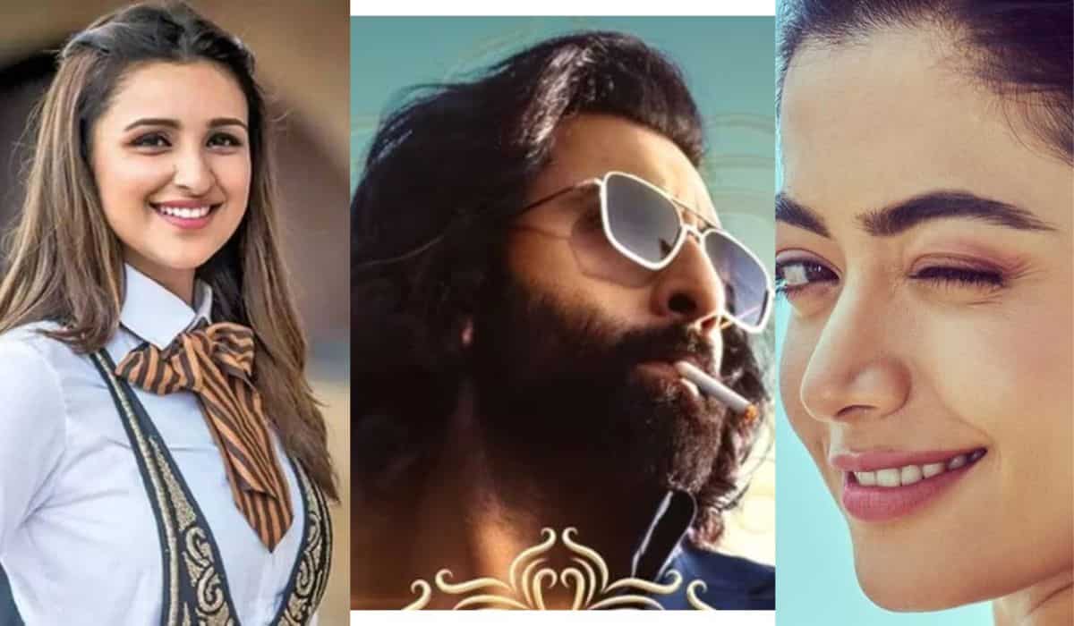 Animal: Did you know that Parineeti Chopra was the ORIGINAL CHOICE to ...