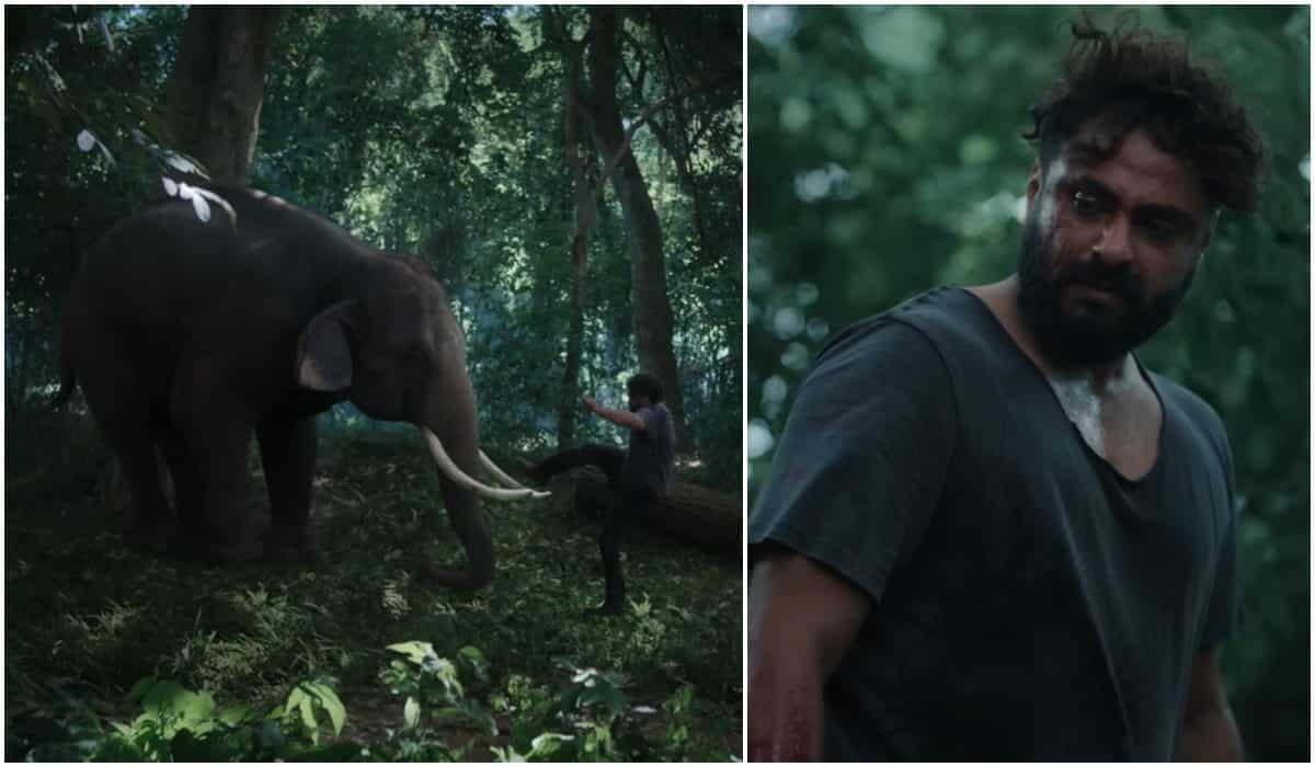 Kattalan: Antony Varghese Pepe fiercely engages in combat with a real ...