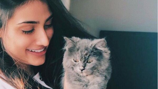 International Cats Day: Check out these Bollywood celebrities and their ...