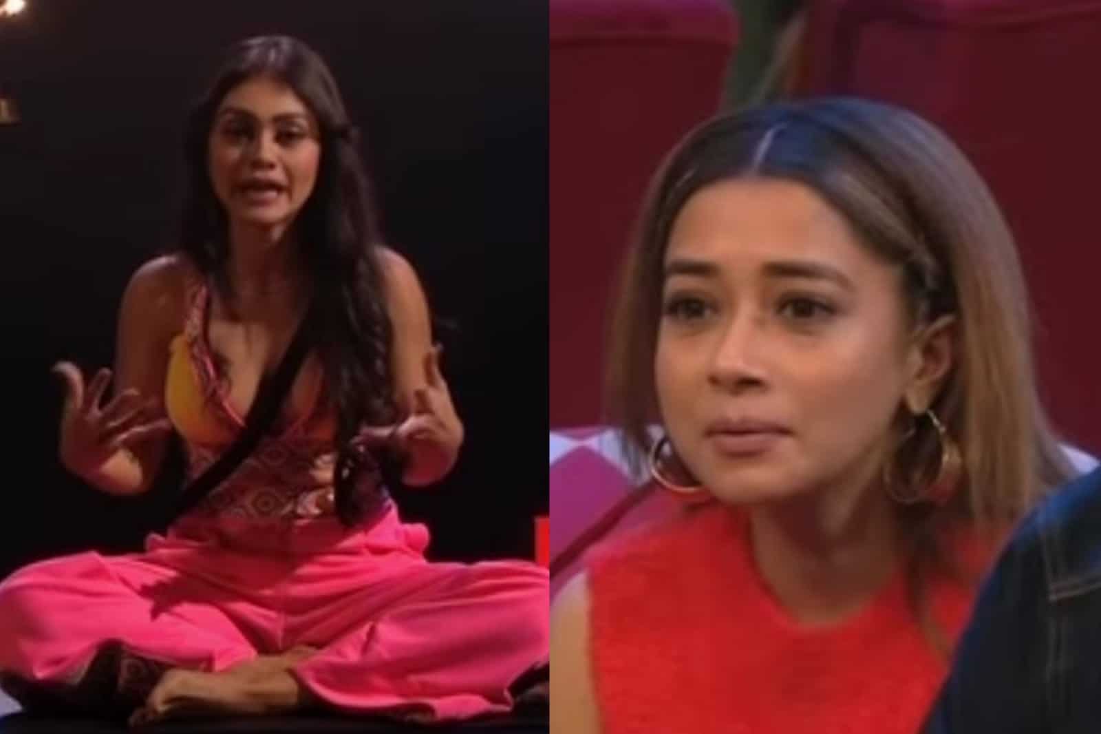 Bigg Boss 16 promo: Sreejita De returns! Tina is all but pleased with the new wildcard entrant