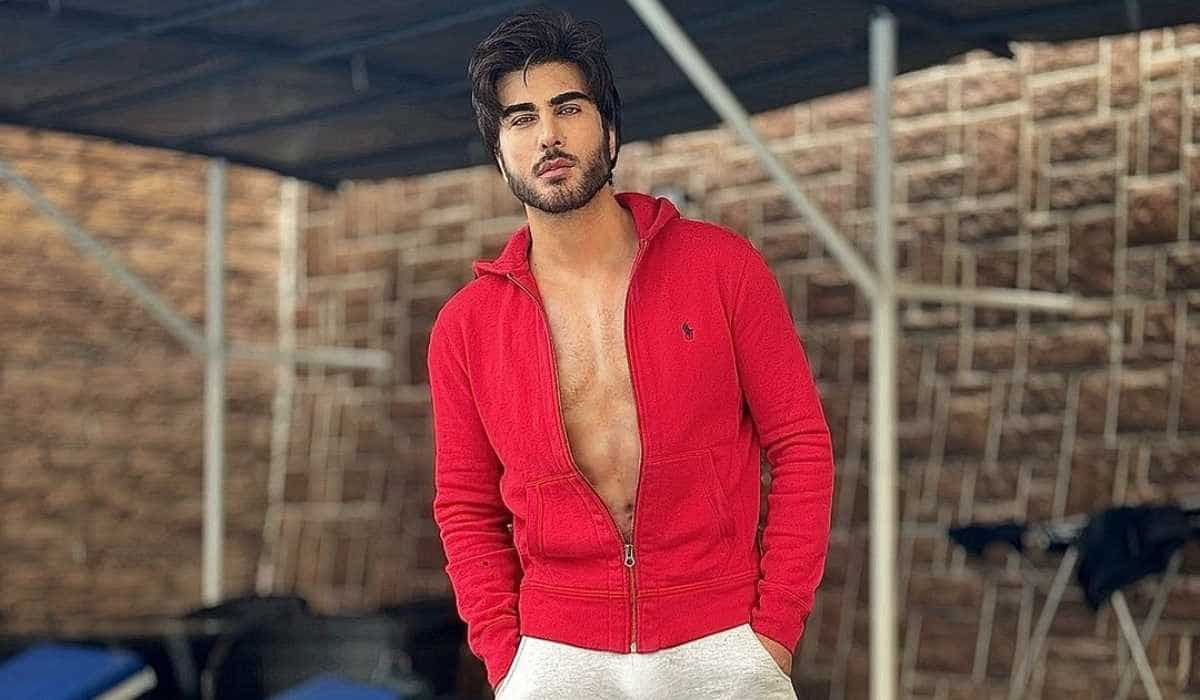 From Aashiqui 2 to Heeramandi, Imran Abbas opens up about rejecting ...