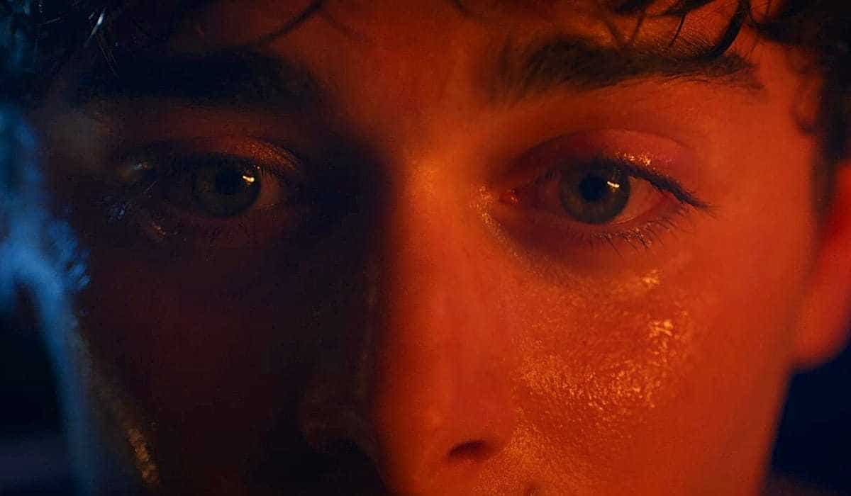 Stranger Things Season 5 on OTT: Release date, plot, cast, teaser, what ...