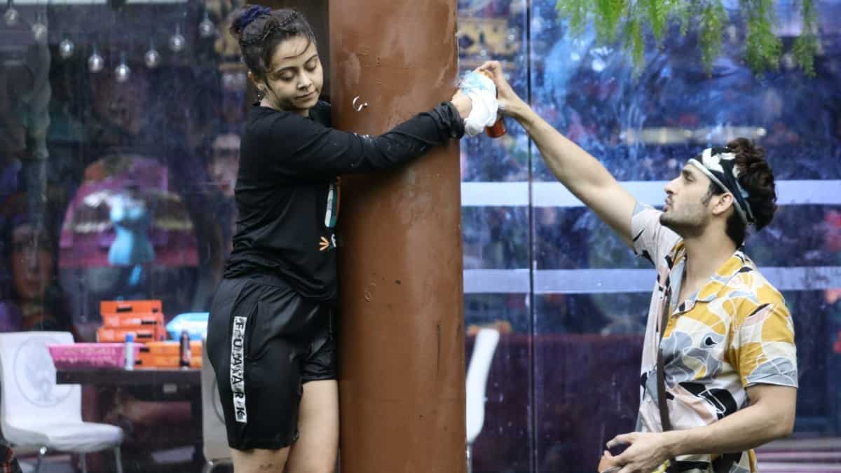 Bigg Boss 15 Day 94 Preview Devoleena Lunges At Abhijit Lashes Out At