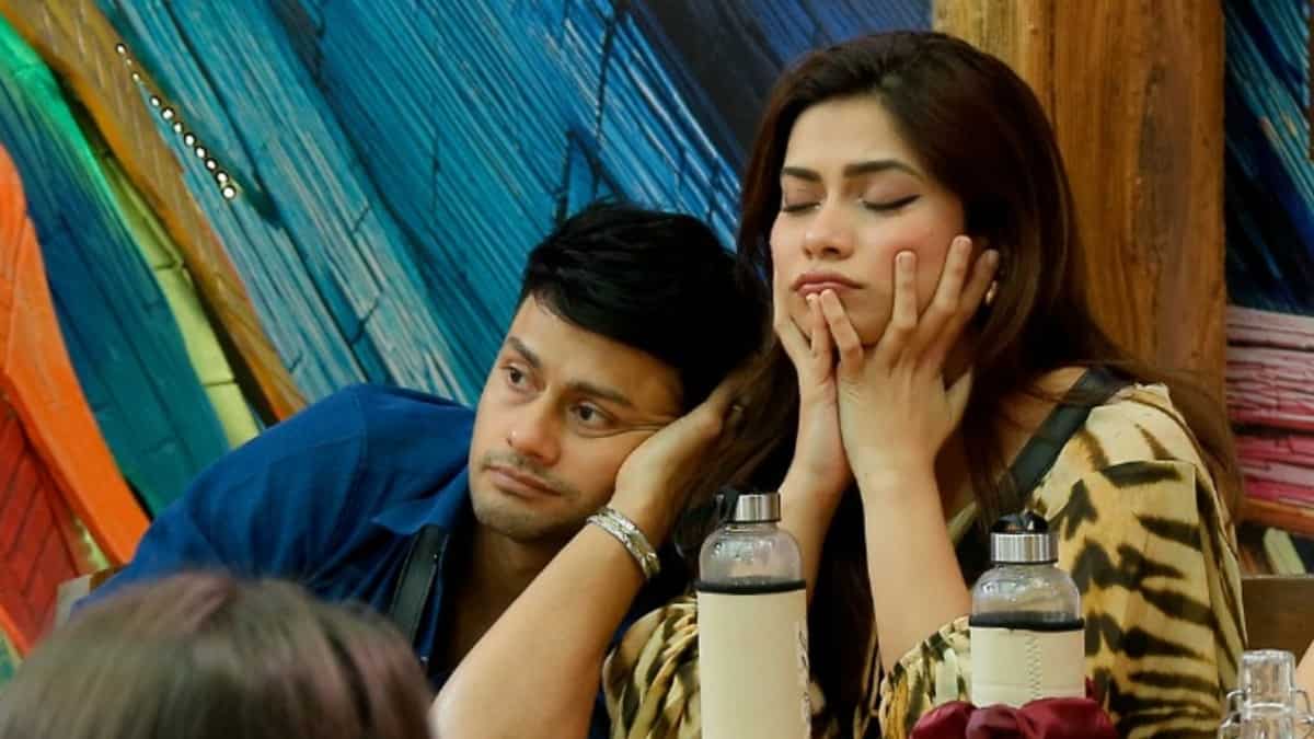 Bigg Boss 19: Awez Darbar proposes to Nagma Mirajkar just as their ...