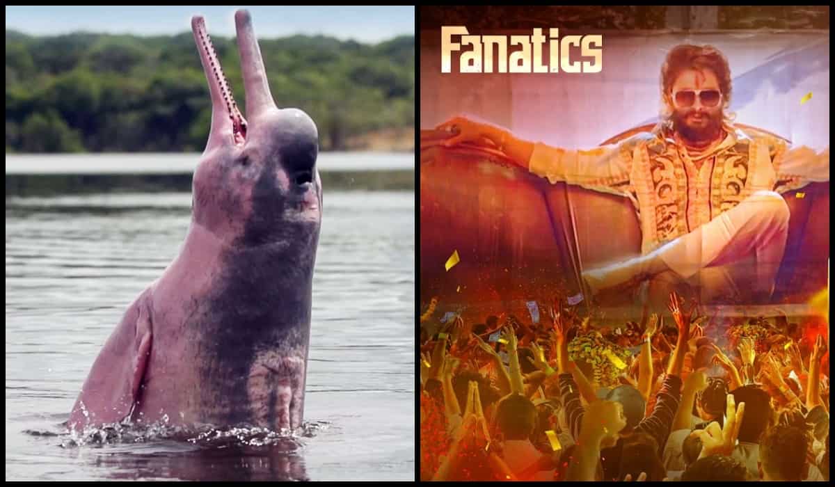 5 latest documentaries to stream on DocuBay right away