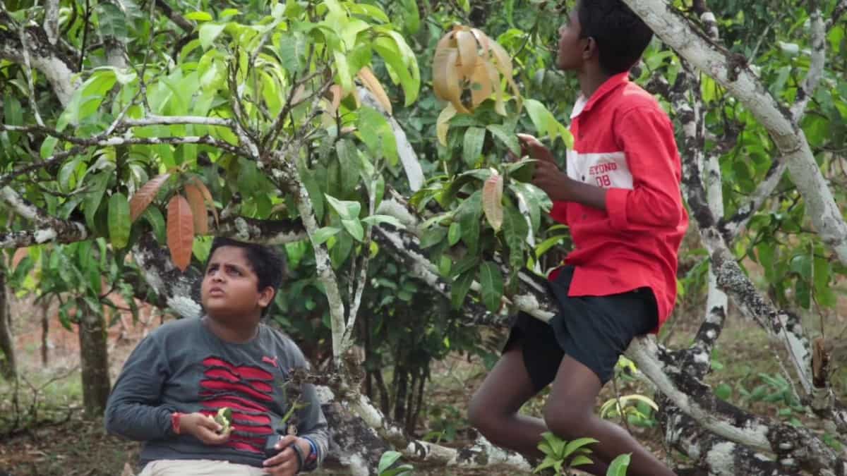 Habba Haridina Suggi Shivaratri: Raj B Shetty presents a tragic tale of ...