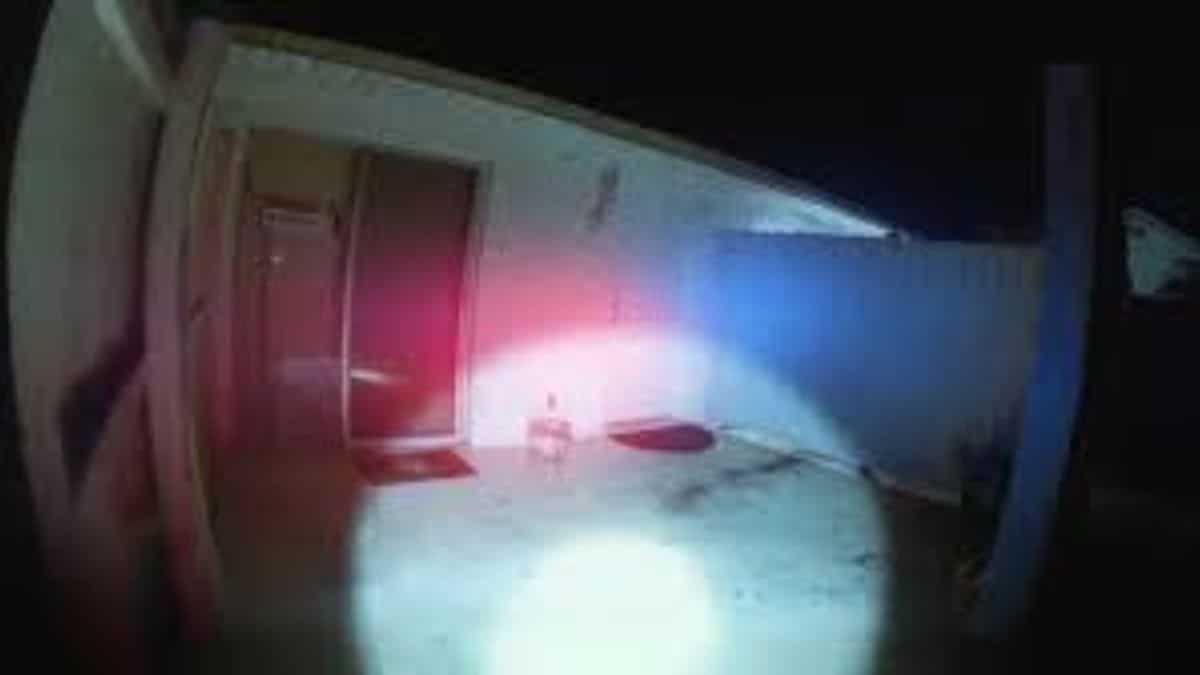 The Perfect Neighbor: The United States Of Horror