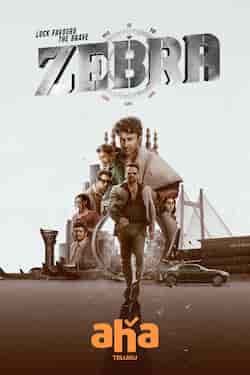 Zebra 2024 Full Movie Watch Online On OTTplay