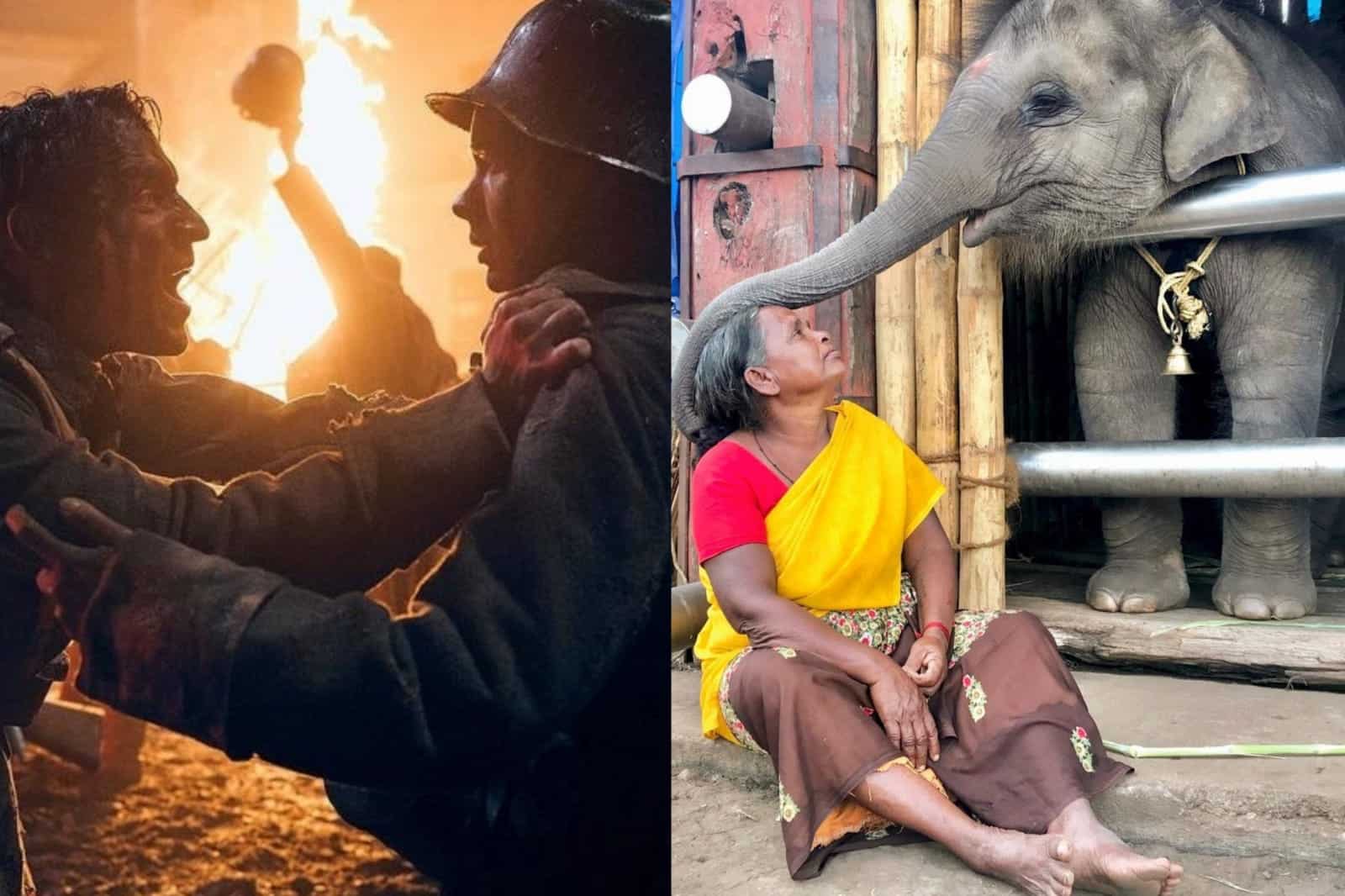 Oscars 2023: A look at how Netflix films fared at this year’s Academy ...