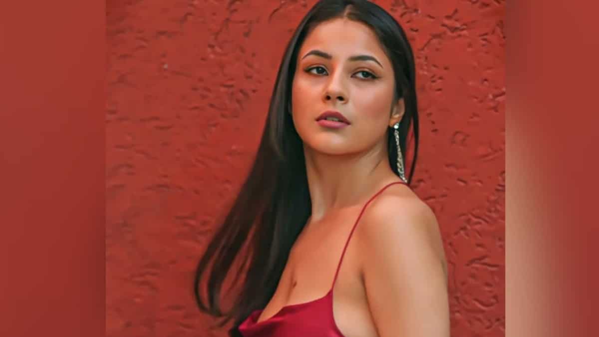 Shehnaaz Gill Flaunts Her Sexy Back In A Red Hot Slip Dress Check Pics