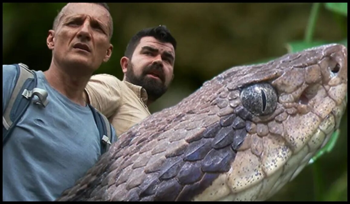 The Unknown Snake Of Bolivia on DocuBay – Here's everything to know ...