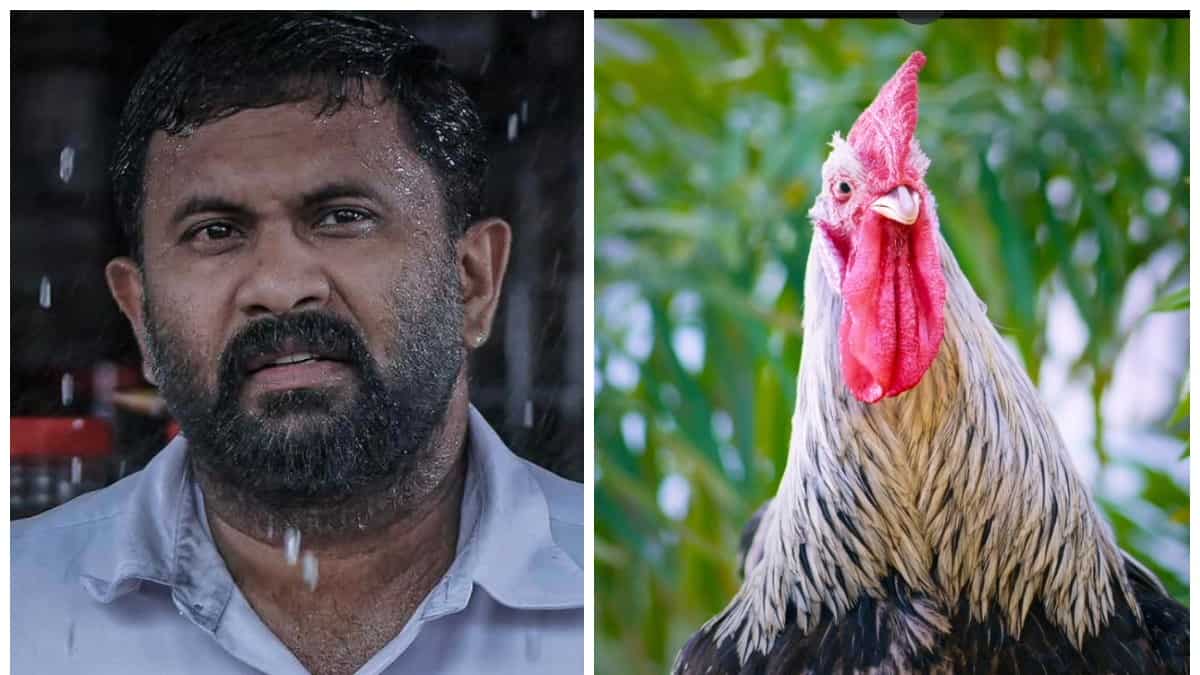 Aju Varghese on Valatty: Giving my voice to a rooster in the film was a ...