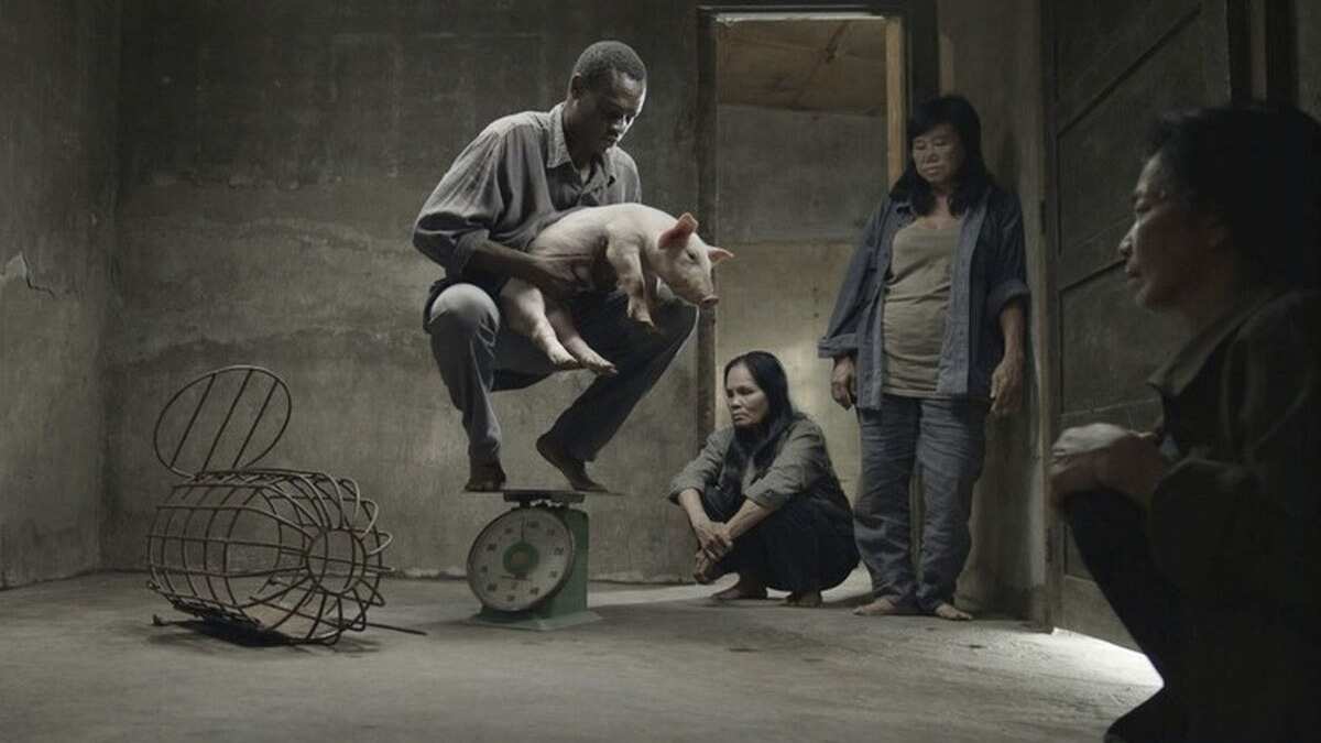 Taste review: An arresting display of images in motion, until they stop ...