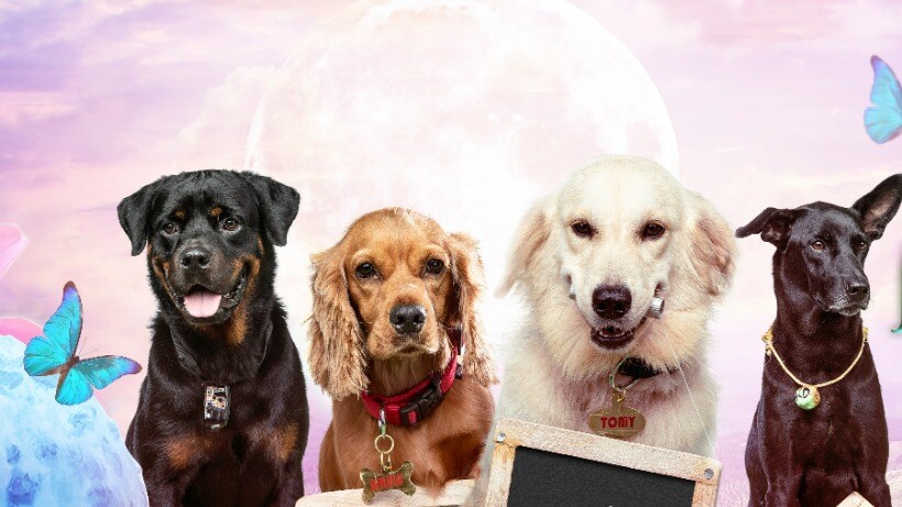 Valatty 2023: Release date, plot, trailer, voice cast, who plays who ...