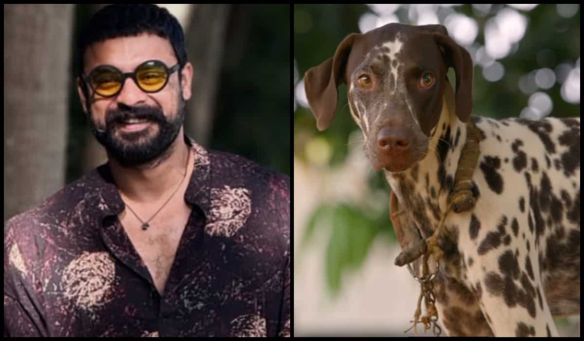 Pennum Porattum trailer: Tovino Thomas' Suttu gives first-hand account ...