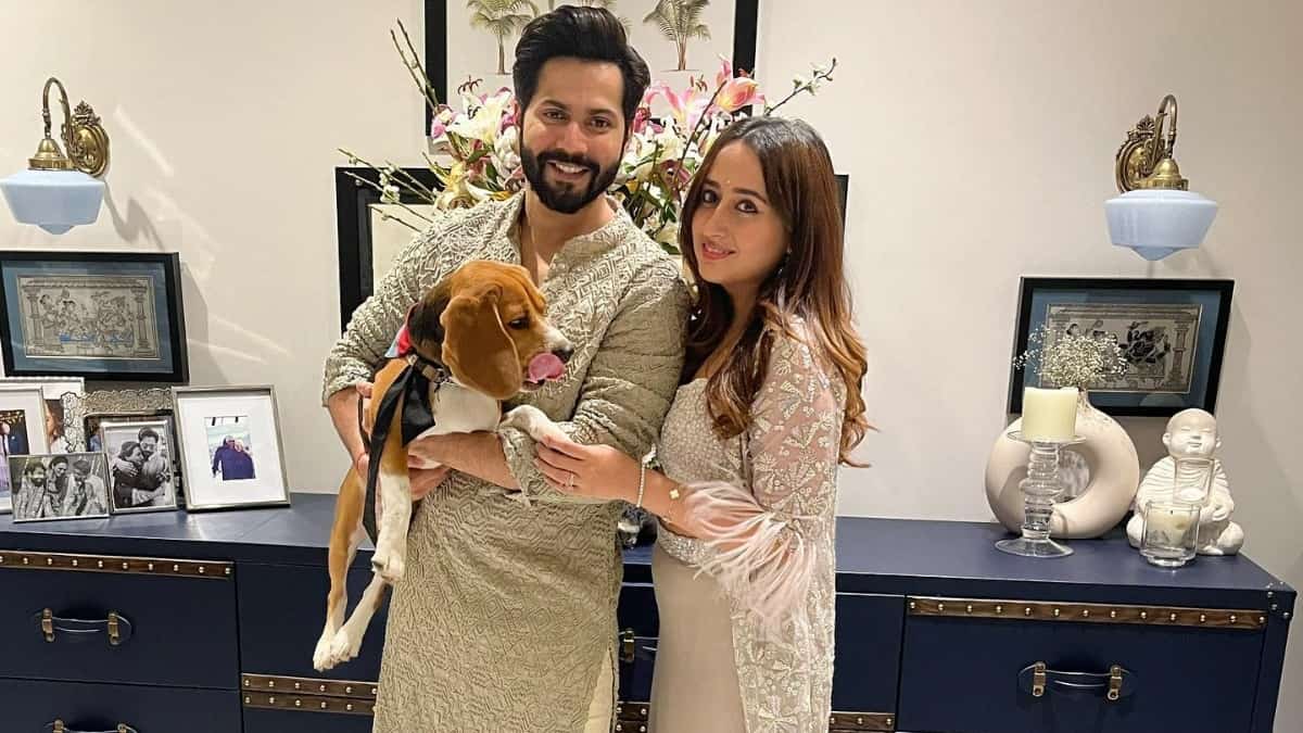 Varun Dhawan and Natasha Dalal expecting a baby? Salman Khan drops a ...