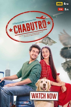 Chabutro Full Movie Watch Online On OTTplay