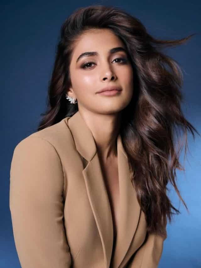 7 popular films of Pooja Hegde to watch on OTT before Deva releases ...